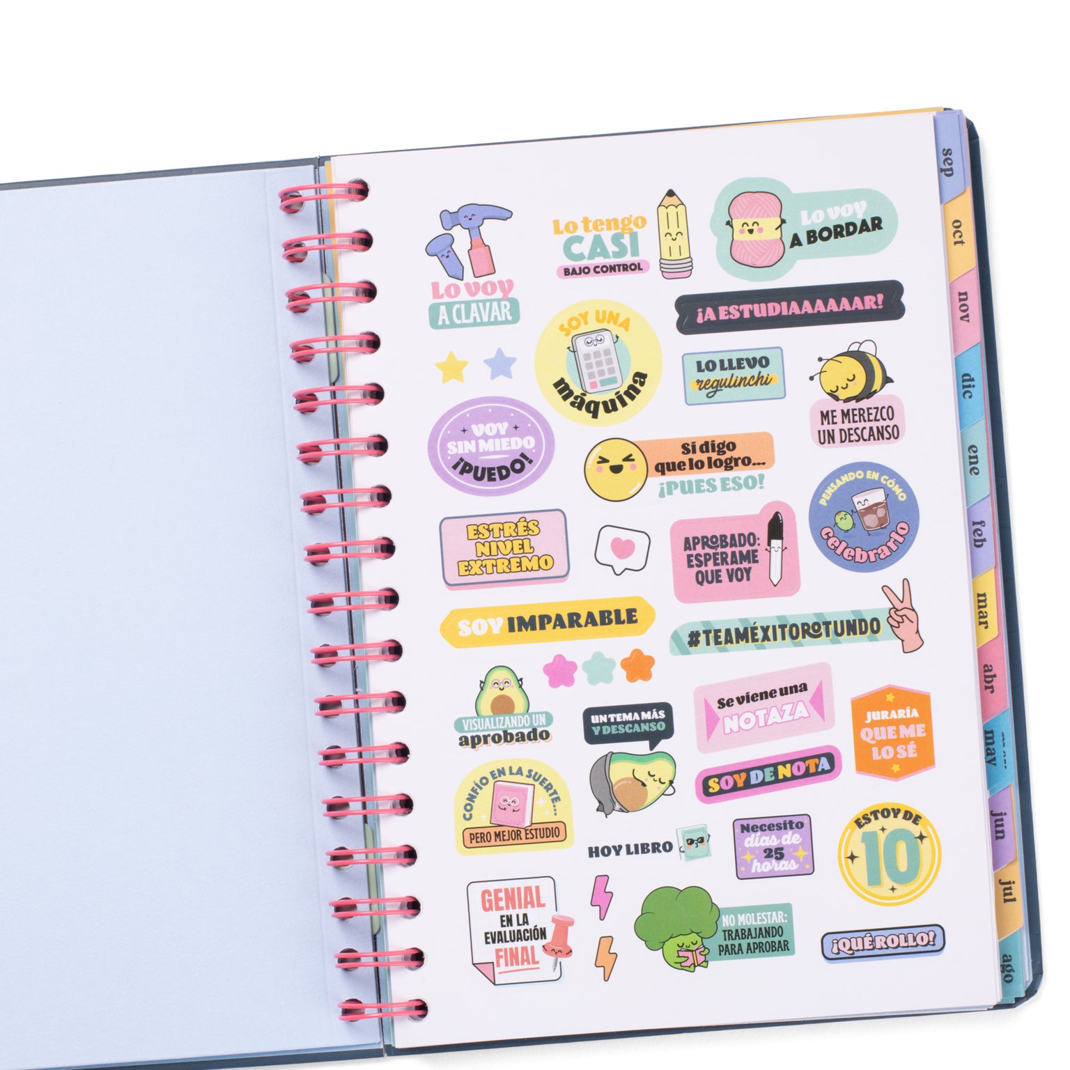 AGENDA ESCOLAR 2025 - 2026 | Mr. Wonderful — Mr Wonderful